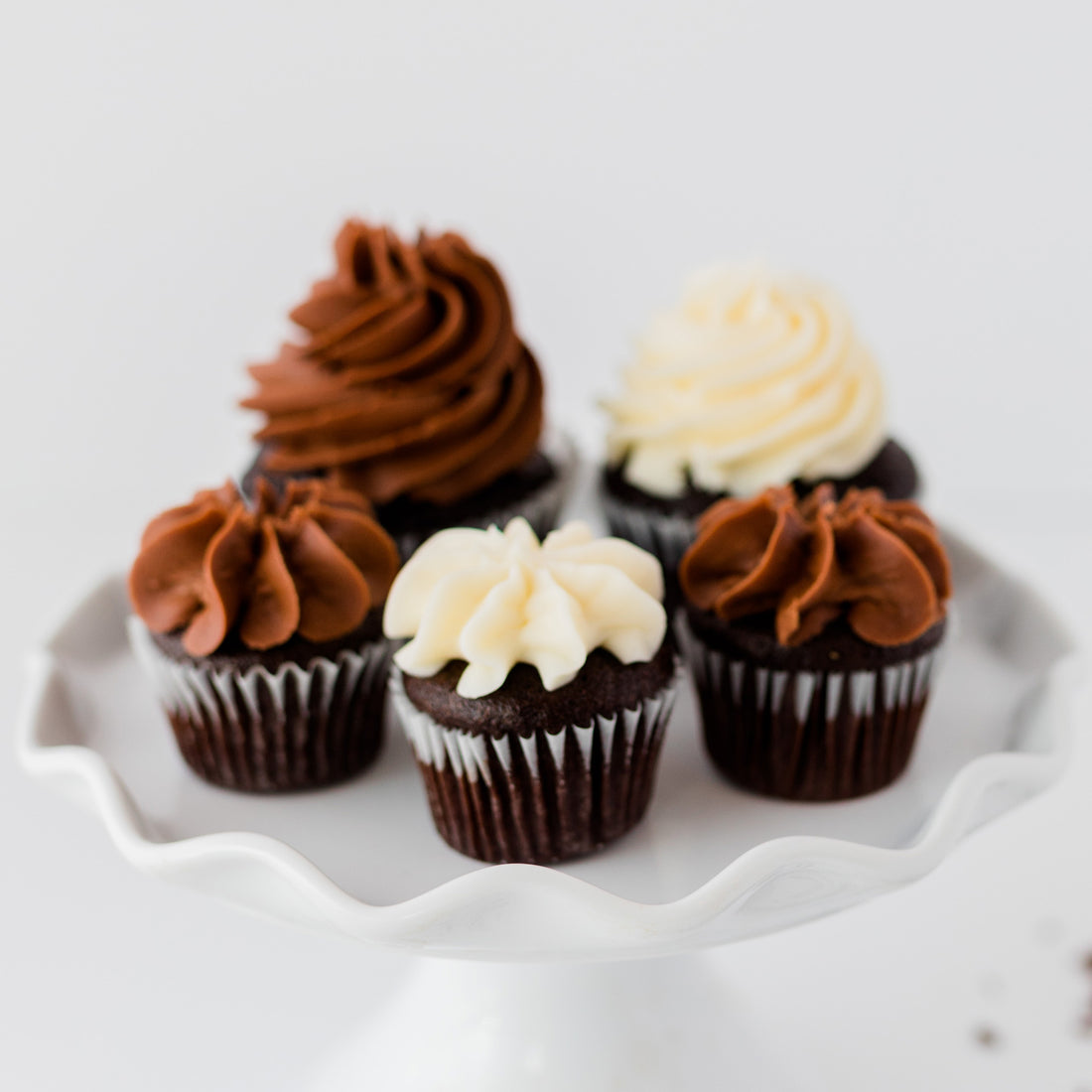 Chocolate Cupcakes – Sugartopia Bakery